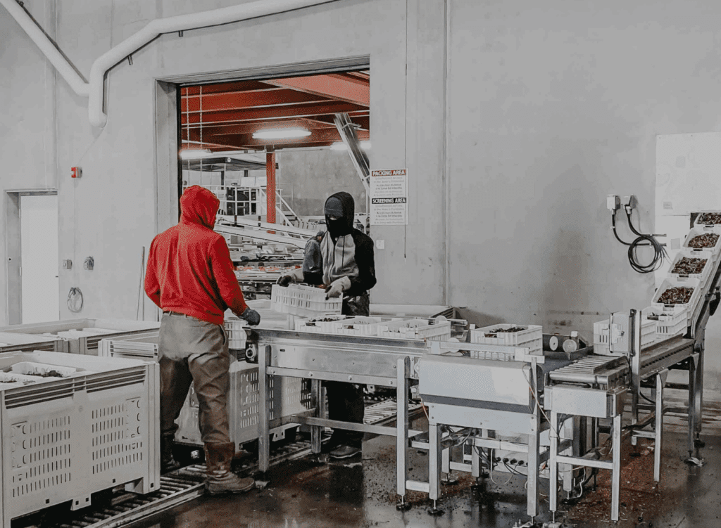 Custom Conveyor Belt Manufacturing | Waycon Manufacturing Ltd.